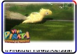 Buzzenge - Viva Piñata Trouble in Paradise Help, Cheats, Tips, and TV ...